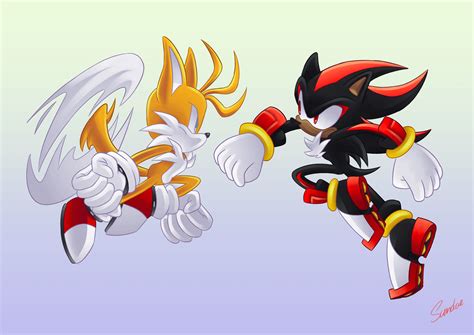 Tails X Shadow Sonic And Shadow Face Off On New Sonic The Hedgehog 3