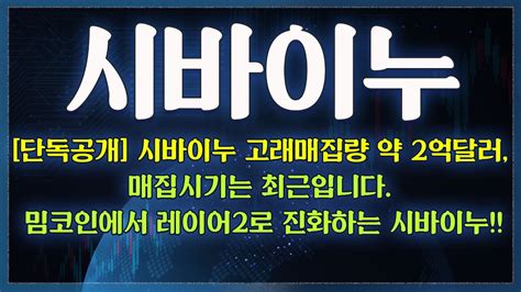 시바이누 단독공개 시바이누 밈코인에서 레이어2 로 진화 시바리움 프로젝트 고래매집 증가 정확한 매수타점 공개합니다 시바이누 원 갑니다 Youtube