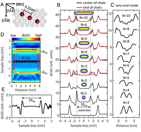 Non Majorana Modes In Diluted Spin Chains Proximitized To A Superconductor Pnas