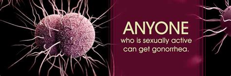 Gonorrhea Std Information From Cdc