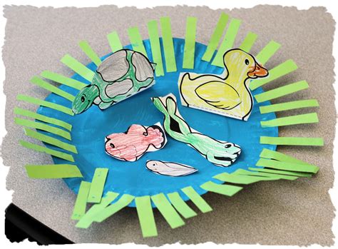 Habitats Eyfs Activities At Dakota Bunce Blog