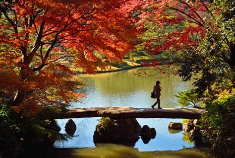 六義園／東京の観光公式サイトgo Tokyo
