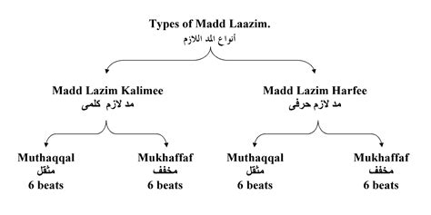Madd Rules In Tajweed Madd Letters Charts And Types Quran House