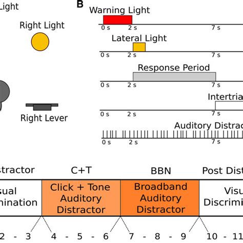 Selective Attention Task A Schematic Illustration Of The Front Panel