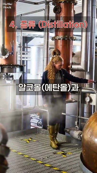 위스키는 어떻게 만들어질까 위스키 제조 6단계 과정 위스키제조과정 위스키만들기 위스키상식 Youtube