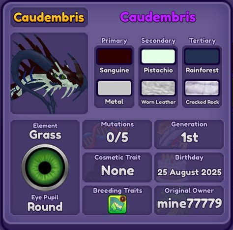 Discuss Everything About Dragon Adventures Wiki Fandom