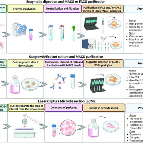 Advantages And Disadvantages Of Different Methods Of Isolation And Download Scientific Diagram