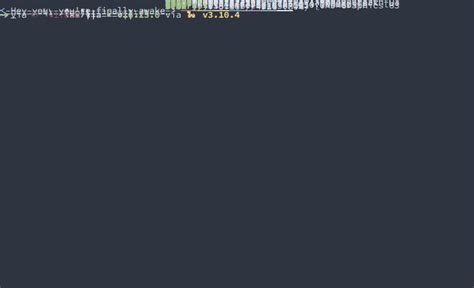 Ui Bug Lines Are Squashed With Source Code Pro Font · Issue 6121 · Alacrittyalacritty · Github
