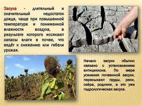 Влияние климатических условий на жизнь людей презентация онлайн