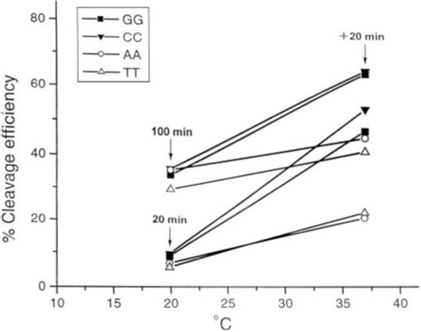 Effect Of Temperature Shift On Cleavage Efficiency Of A Containing