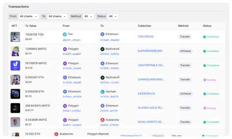 XP NETWORK A Powerful NFT Bridge Trusted By All Major Blockchains