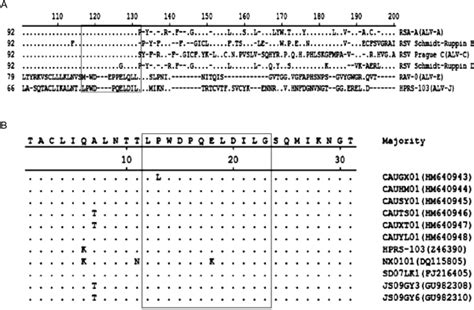 Bioinformatics Analysis Of 1e3 Epitope Conservation Comparison Of The