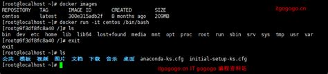 07、docker 实战：常用命令 3 容器命令 Docker实战（四） Itgogogo Cn