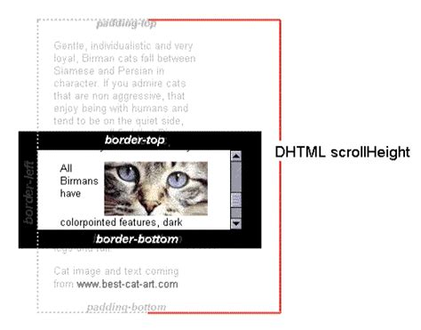 Js 스크롤 이벤트 스크롤 위치 구하기