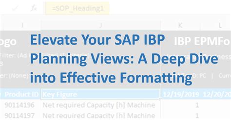Elevate Your Sap Ibp Planning Views A Deep Dive Into Effective Formatting