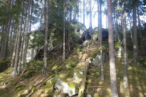 Tiveden Waterland And Vast Forest Wilderness Nordic Ecotours