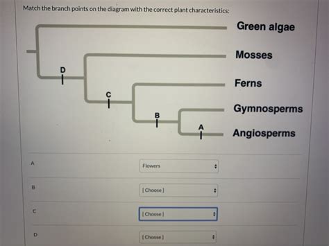 Solved Match The Branch Points On The Diagram With The Chegg Com