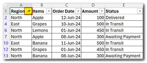 How To Use Filter In Excel By Using Different Ways