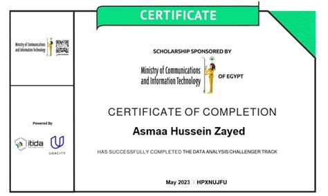 asmaa zayed on linkedin dataanalysis