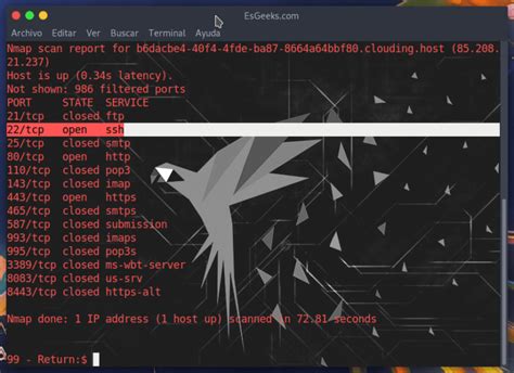 Hack4squad Framework Hacking Y Scanning En Bash Esgeeks
