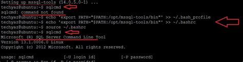 Step By Step Process To Install Sql Tools On Ubuntu Server Running