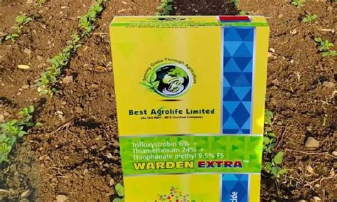 Best Agrolife Buys All Stake In Sfcl For Rs139 Cr