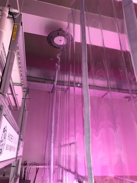 연구실 온도습도유지 공간분리용 투명pvc커튼 투명pvc스트립커튼 강릉비닐커튼 Kist천연물연구소 네이버 블로그