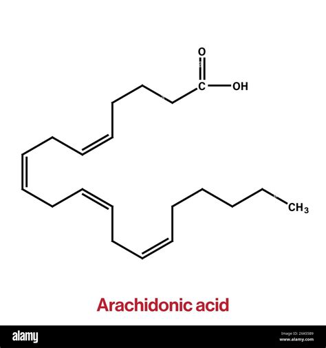 Arachidonic Acid Stock Vector Images Alamy