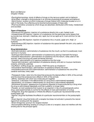 Functional Neuro Anatomy PROTECTING NOURISHING THE BRAIN The Human Skull Is The Part Of