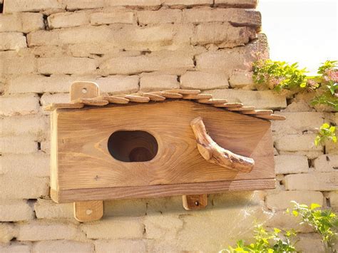 SWIFT BIRDS Nesting Box Nest Box House For Swift Bird Family Nests Swifts Are Mosquito Killers
