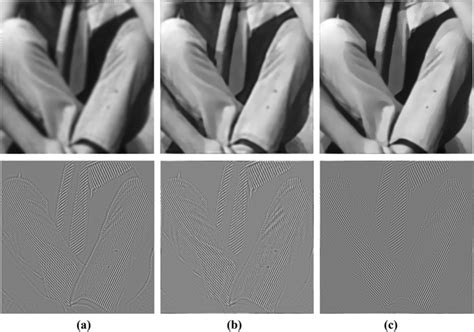 Decomposition Experiment Of Leg Image With Different Models From Top Download Scientific