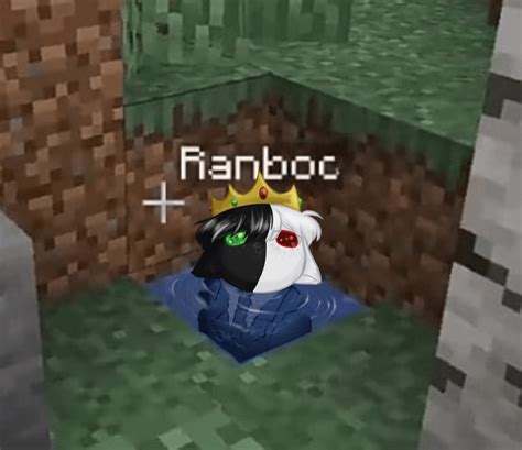 Enderman Cant Swim Youre Just Seeing Things Ranboo