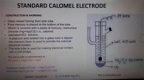 What Is Calomel Reference Electrode At Debra Waddell Blog