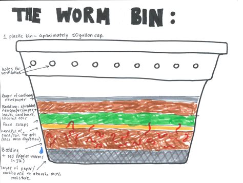 Vermicomposting How To Start Composting With Worms At Home — This Green Lifestyle