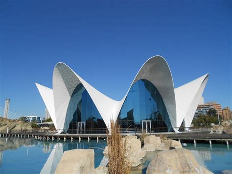 Santiago Calatrava Valencia Santiagocalatravaarchitecture Pinned By