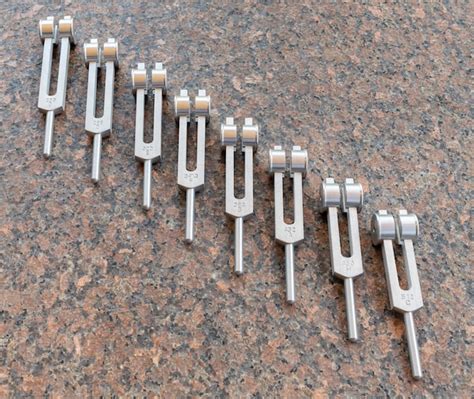 Biofield Tuning The Jōrni Blog