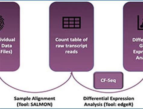 Expvip A Customisable Rna Seq Data Analysis And Visualisation Platform Rna Seq Blog