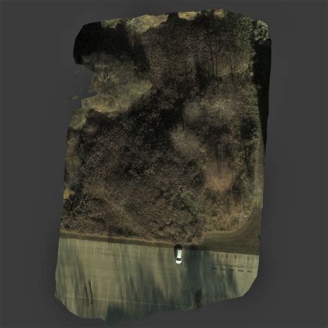 Rgb Nir Camera Spectral Devices