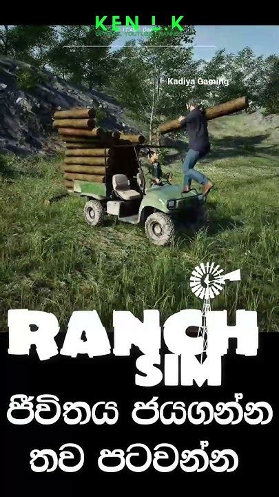 පටවමු තව පටවමූ 🤣 Youtube