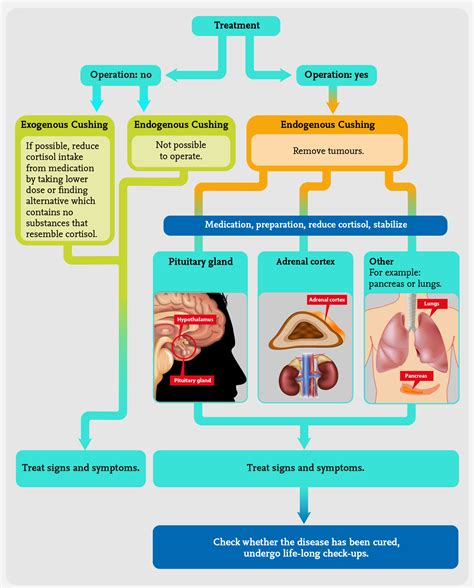 Cushings Syndrome Infographic Adrenals Eu