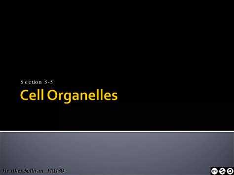 3 3 Cell Organelles Ppt Ppt