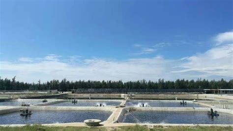 超详细石斑鱼高位池人工育苗技术全解读！ 中国鳗鱼网