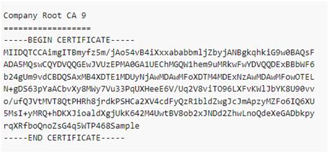 AWS CLI For SSL TLS Certificates GeeksforGeeks
