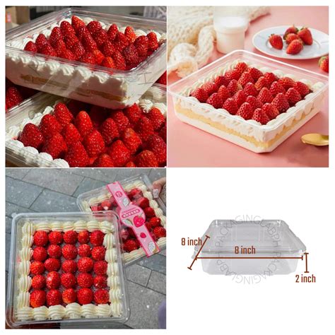 Large Clear Square Container Packaging Lab Philippines