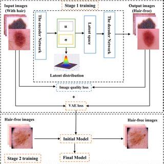 The Detailed Architecture Of The Encoder And Decoder Download Scientific Diagram