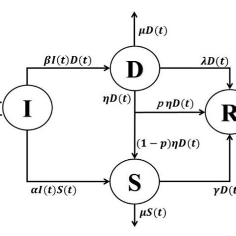 gambar 2 diagram kompartment penyebaran rumor idsr model penyebaran