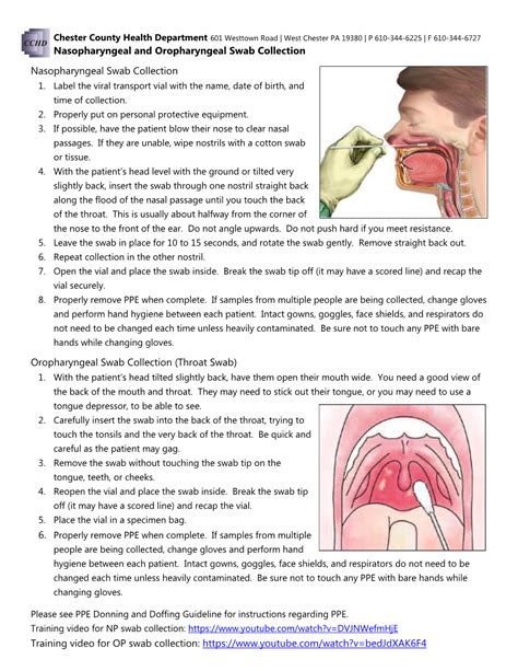 Nasopharyngeal And Oropharyngeal Swab Collection Docslib