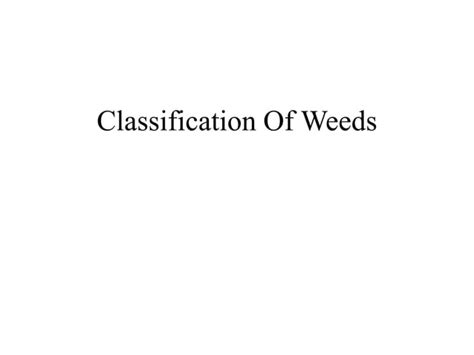 1 classification of weeds pptx