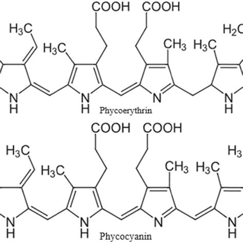 Chemical Structure Of Phycoerythrin And Phycocyanin Download