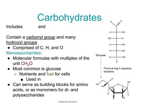 Macromolecules And Elements Of Life Carbohydrates Proteins Nucleic